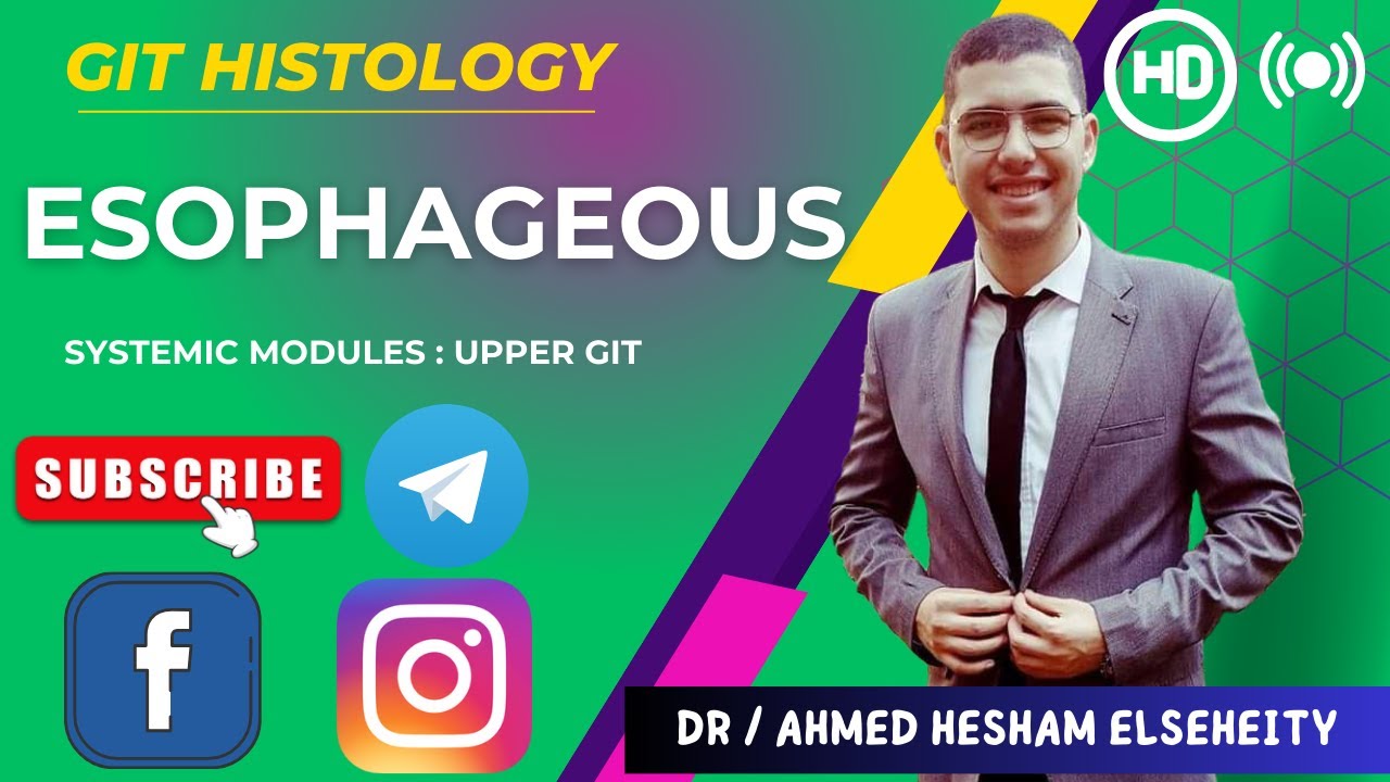 Esophageous | GIT & Nutrition | Systemic Histology - YouTube