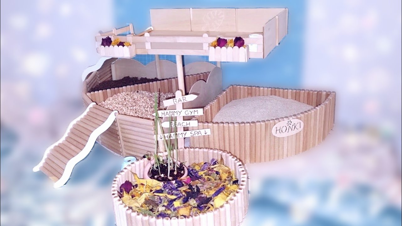 Hamster DIY 💗 I built some new furniture for my hamster cage🌾 - YouTube