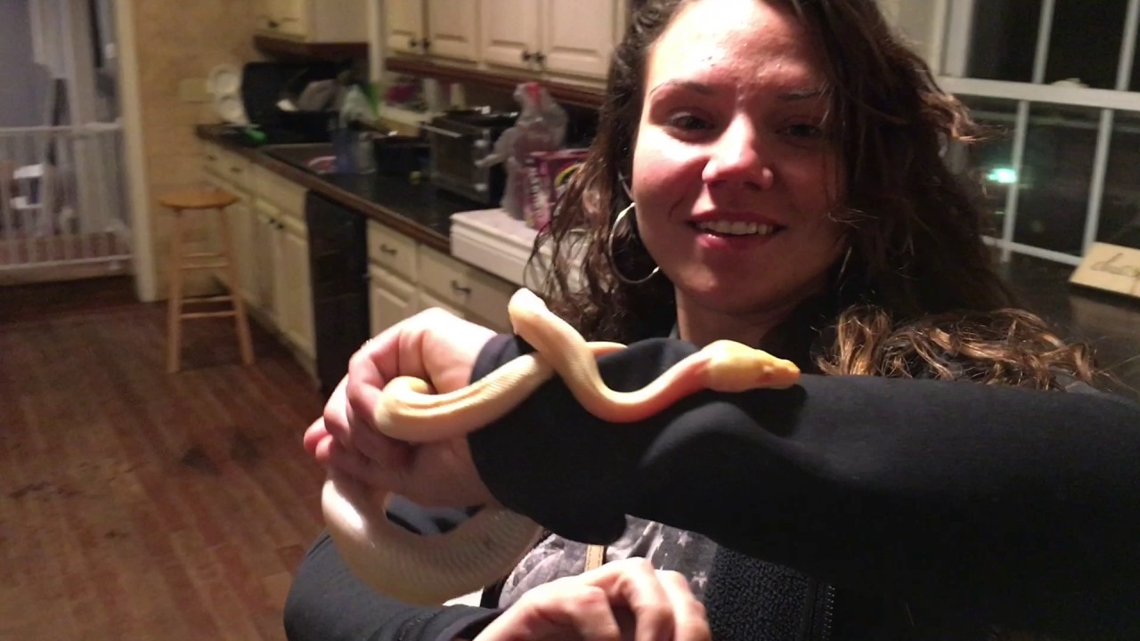 ManMade Kennels Road Trip to Dark Dynasty K9's ; World Famous DDK's ...