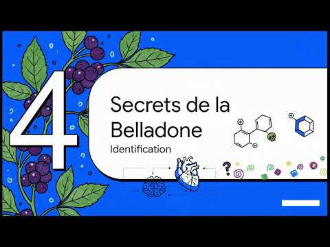 Les alcaloïdes tropaniques