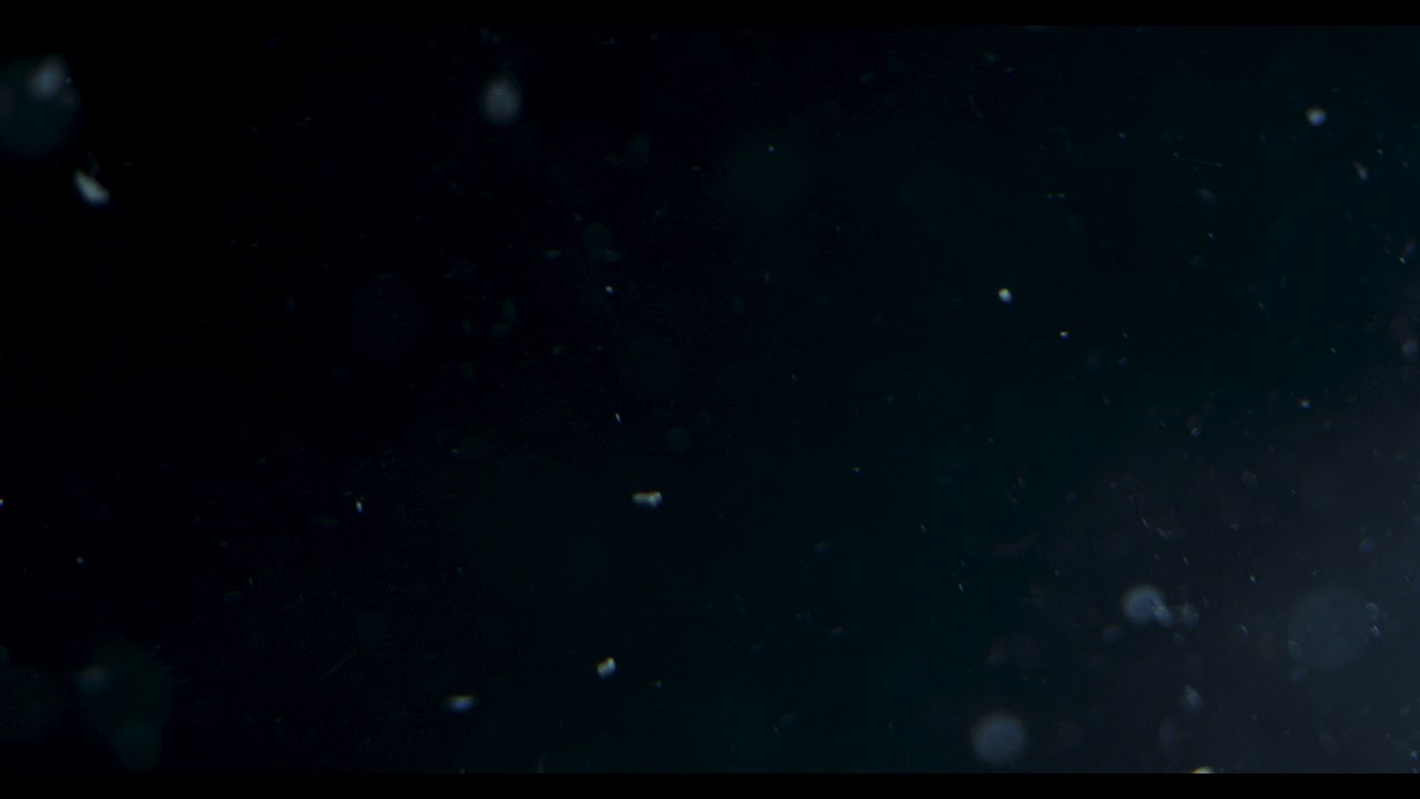 Particles Slowly Moving in Water - YouTube