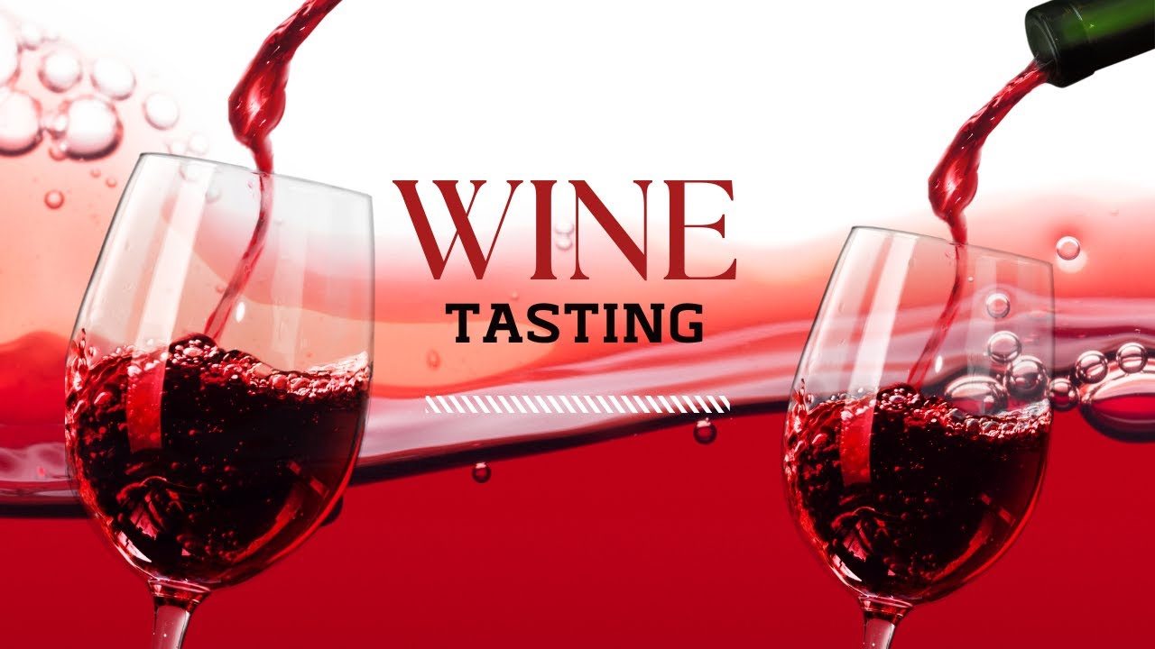 Voyage Through Vineyards: A Beginner's Guide to Wine - YouTube