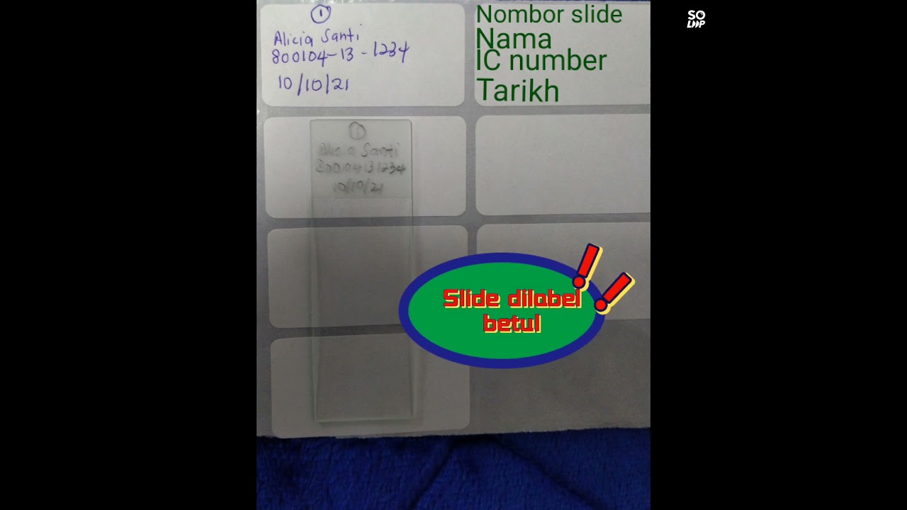 Cara membuat slide Malaria A.K.A BFMP - YouTube