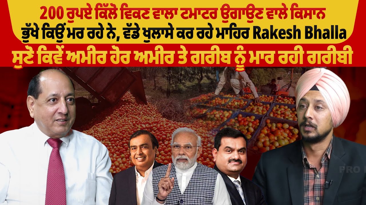 200 ਰੁਪਏ ਕਿੱਲੋ ਵਿਕਣ ਵਾਲਾ ਟਮਾਟਰ ਉਗਾਉਣ ਵਾਲੇ ਕਿਸਾਨ ਭੁੱਖੇ ਕਿਉਂ ਮਰ ਰਹੇ, ਵੱਡੇ ...