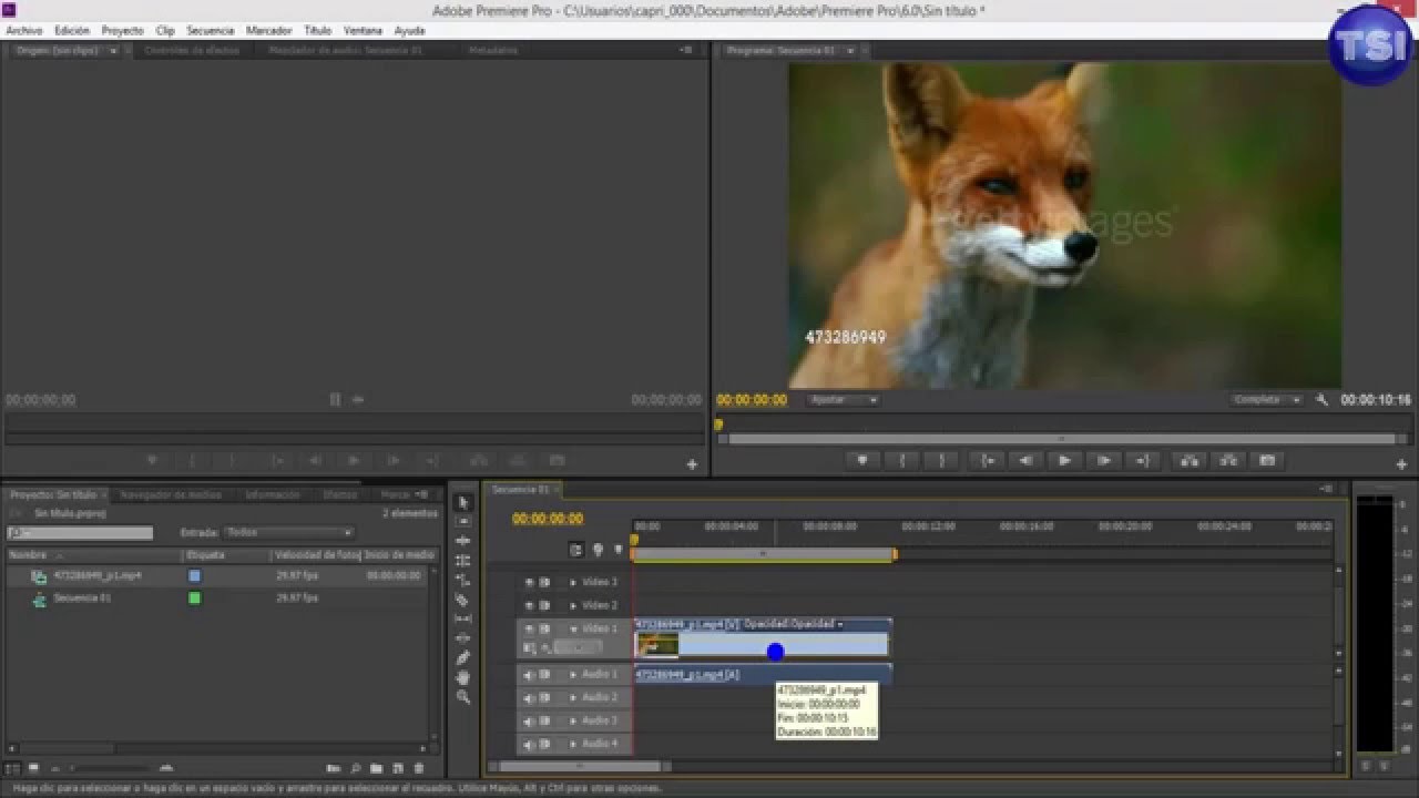 Adobe Premiere tutorial 2016 | Poner un vídeo en cámara lenta, Bien explicado - YouTube
