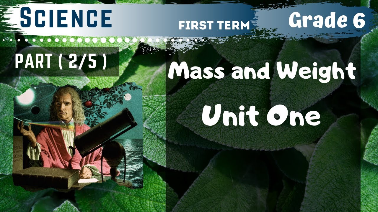 Science | Grade 6 | Mass and weight | Part (2/5) | Unit One - YouTube
