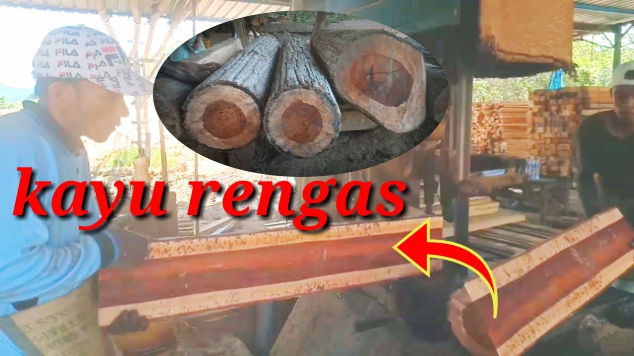 KAYU RENGAS..!! YANG DI TAKUTI PEKERJA SAWMIL - YouTube