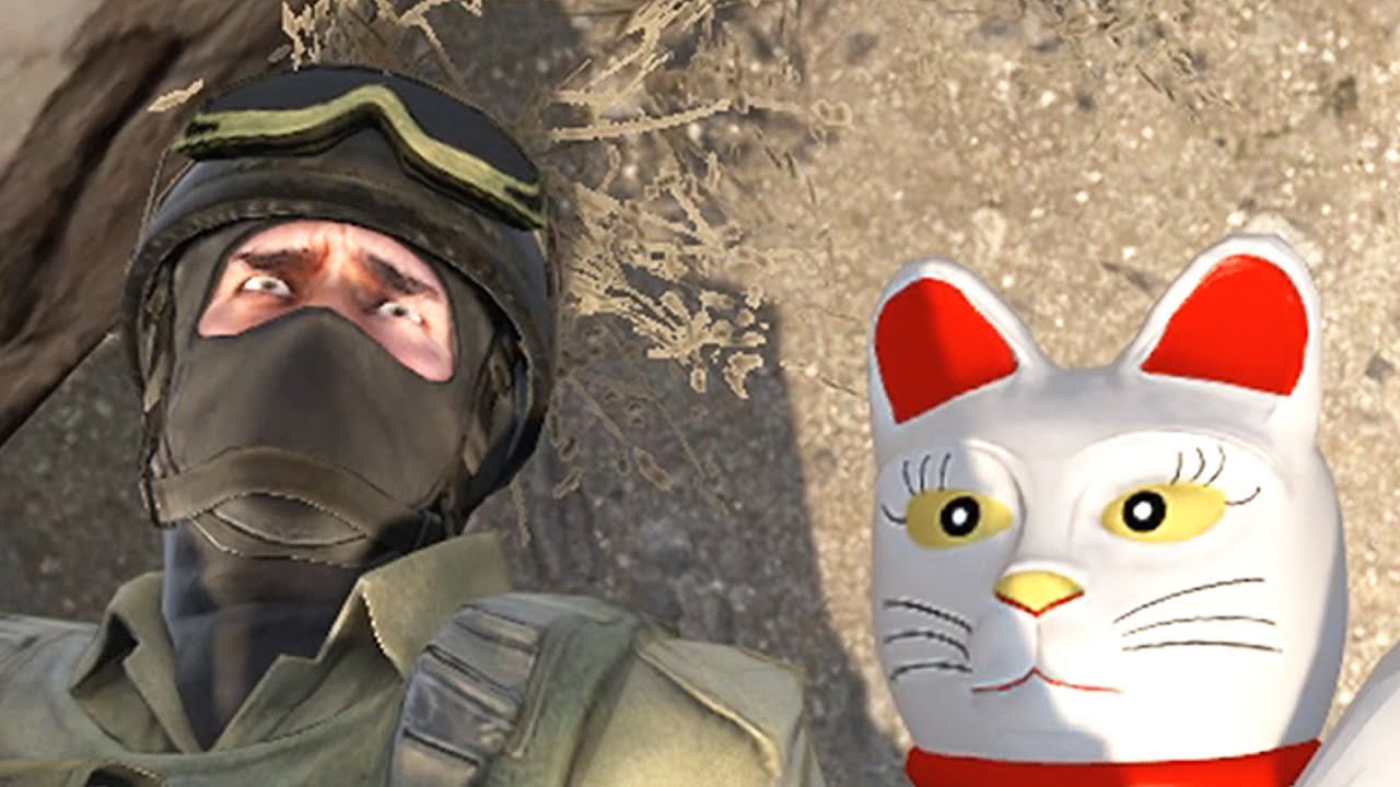 how did my cat get into CS:GO? - YouTube