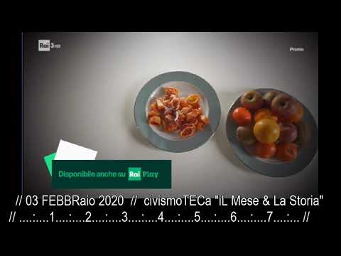 Presa DIRETTA ORE 21,20 lunedì 03 02 2010   L'ultima ape