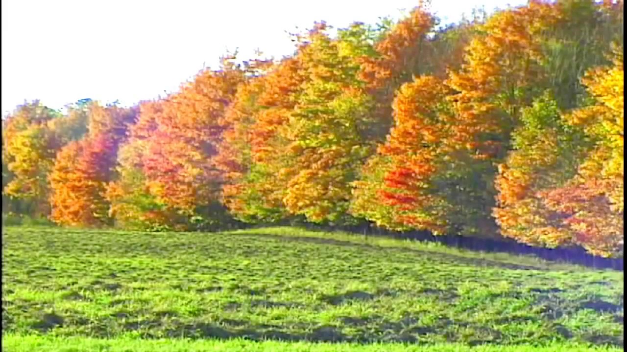 Fall Color Tour | West Branch, MI - YouTube