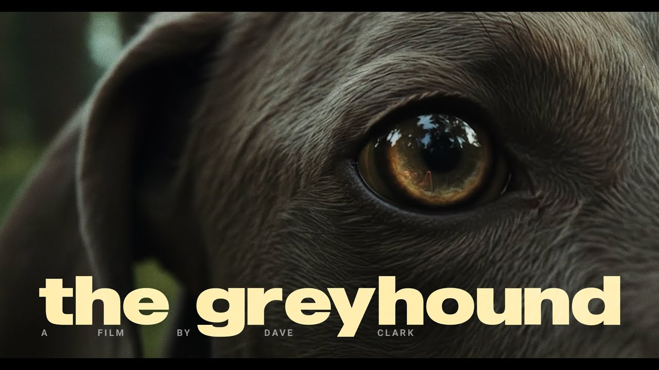 The Greyhound | AI Animated Short | Google Veo 2 - YouTube