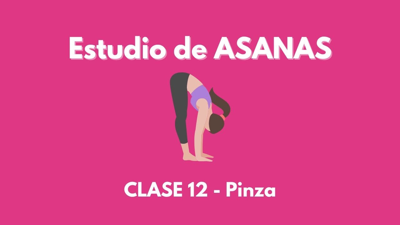 Estudio de ASANA - Posturas de YOGA 12 - Pinza - Uttanasana - YouTube