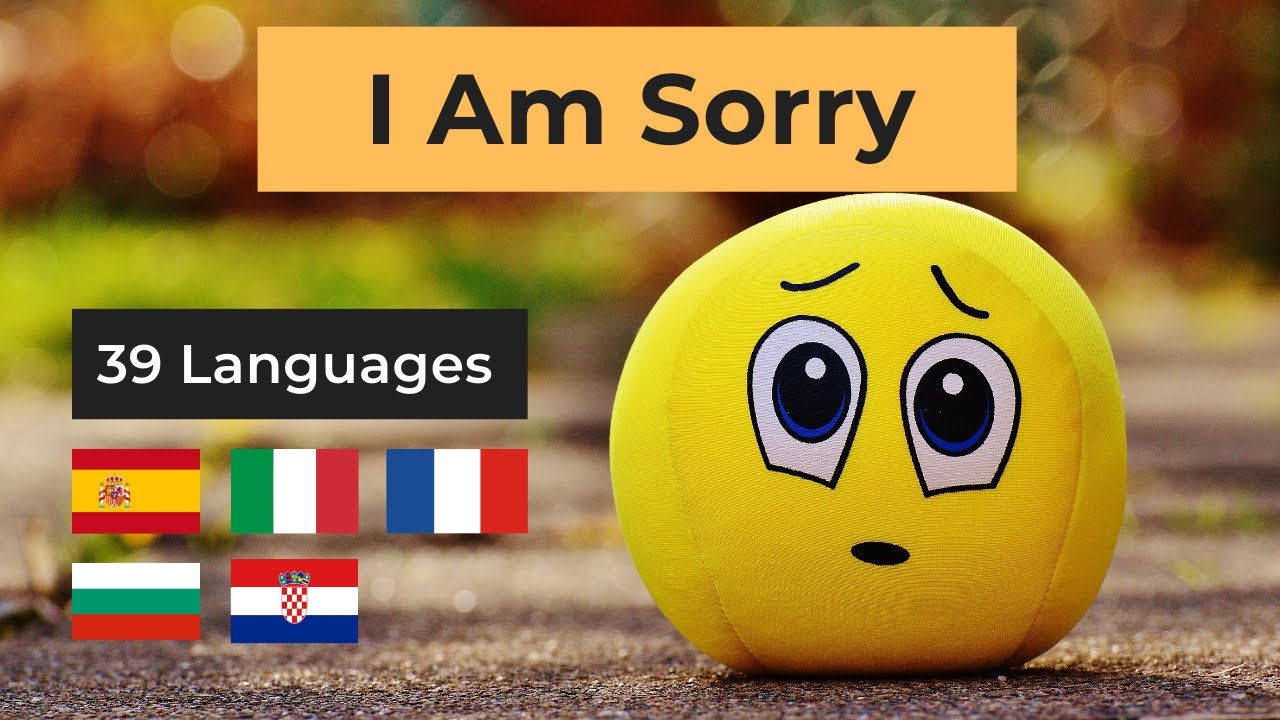How to say I'm Sorry in 39 Different Languages | Europe Language ...