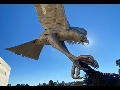 Richmond's new osprey sculpture - YouTube