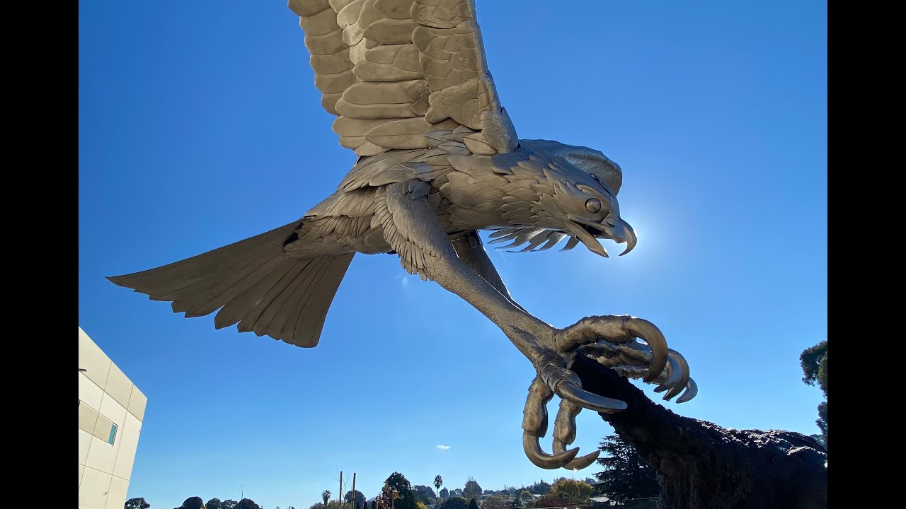 Richmond's new osprey sculpture - YouTube