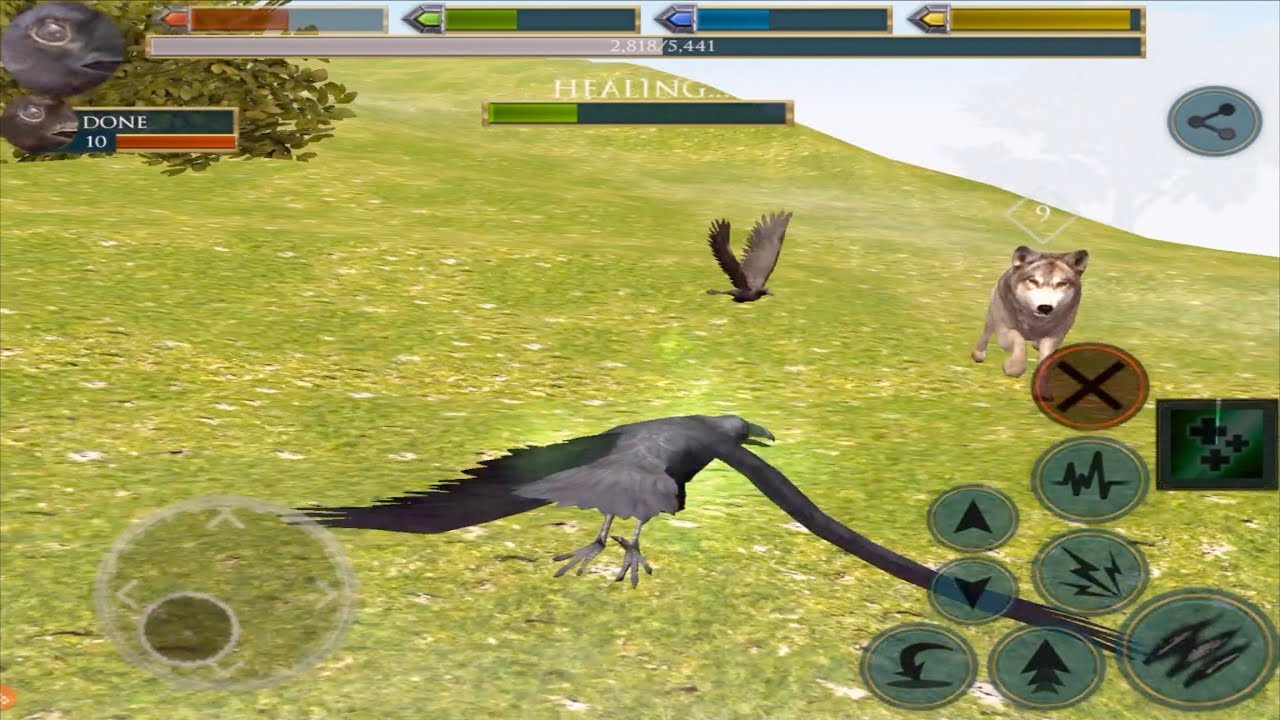 Crow Simulator 3D, Ultimate Bird Simulator - By Gluten Free games - YouTube