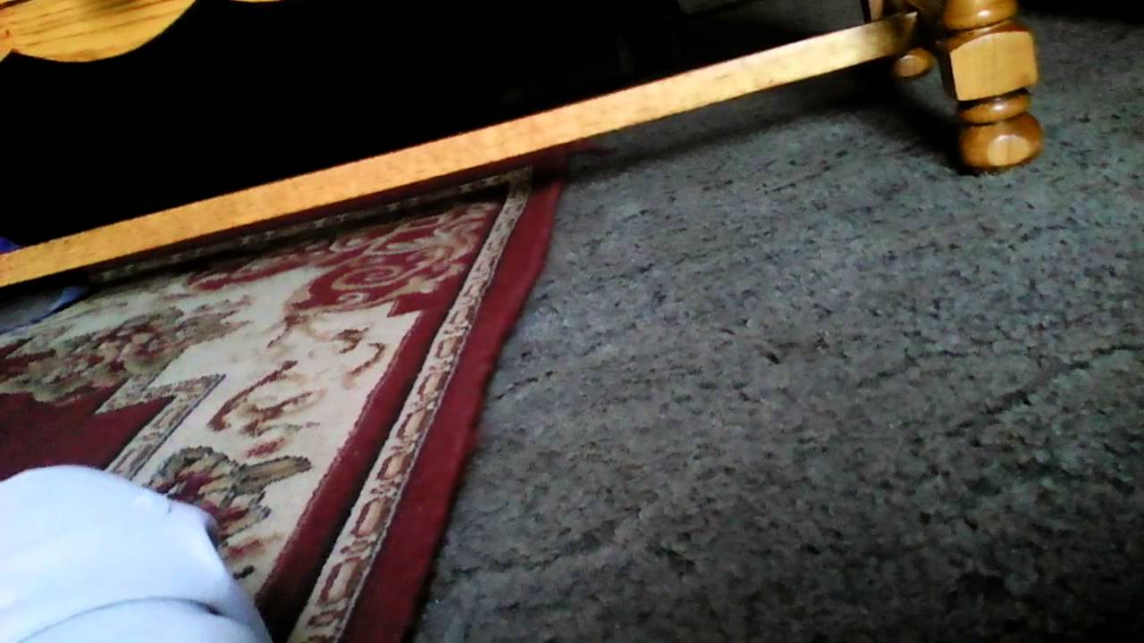Meet the puppet night guard night 4 - YouTube