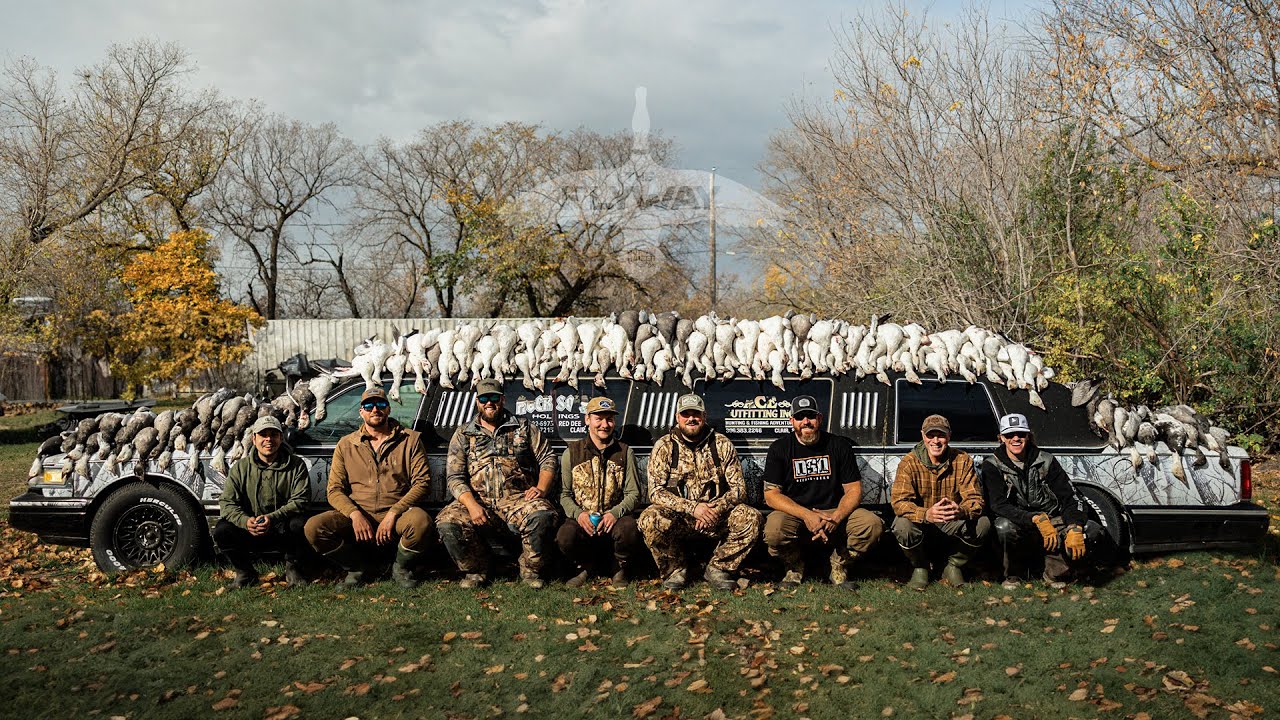 Shooting Geese in 40mph Wind (100+ Birds!) - YouTube