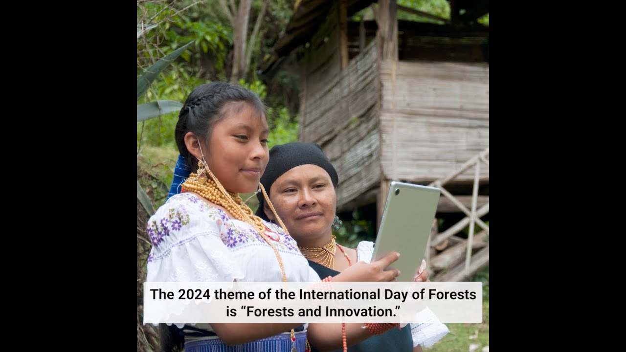 INTERNATIONAL DAY OF FORESTS 2024 - YouTube