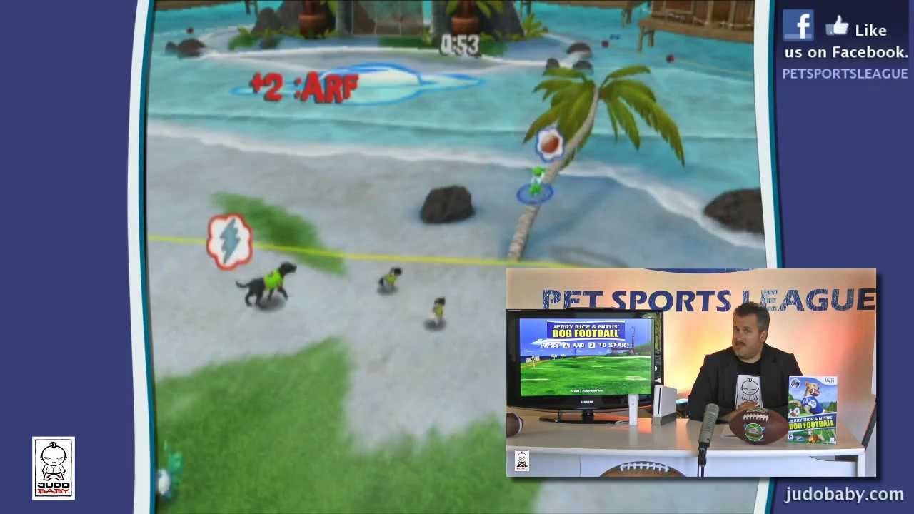 Jerry Rice & Nitus' Dog Football: Judobaby Webisode One - YouTube