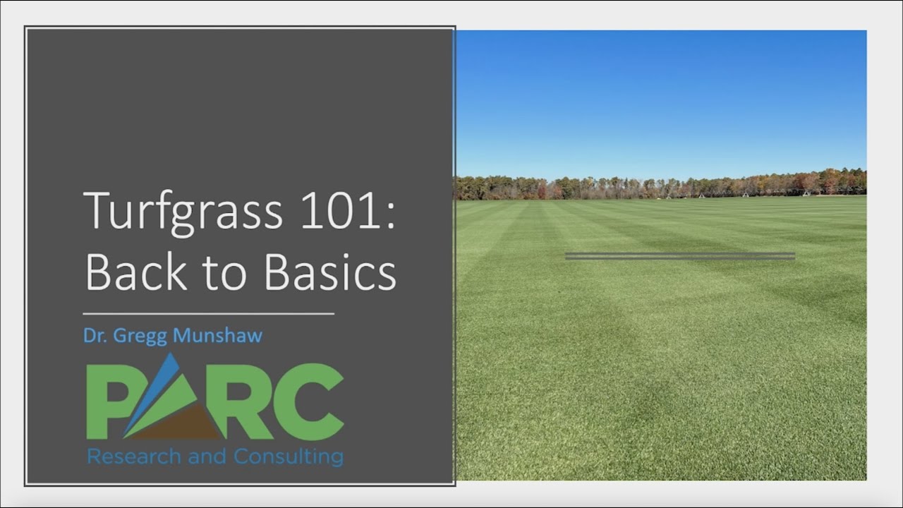 Turfgrass 101: How to manage athletic fields by focusing on doing the ...