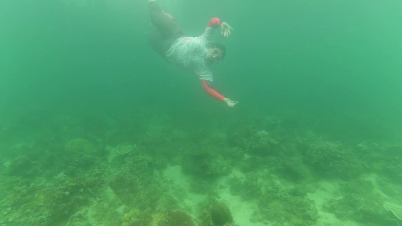 Indonesia | Explore Pengudang Bintan | Esco Lifescieces Group - YouTube