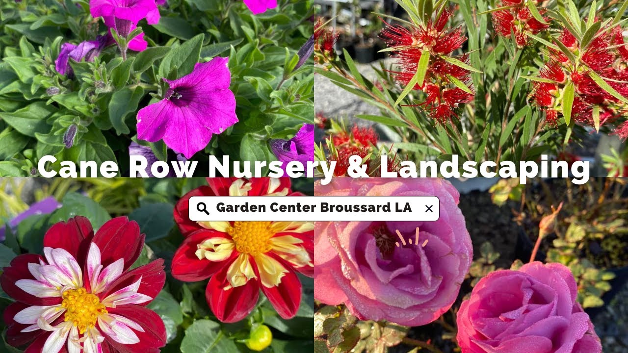 Garden Center in Broussard LA Cane Row Nursery and Landscaping - YouTube