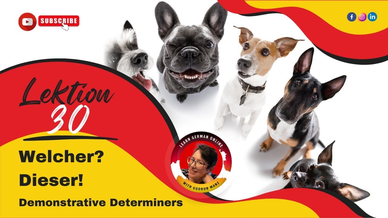 A Beginner's Guide to German Demonstrative Determiners - YouTube