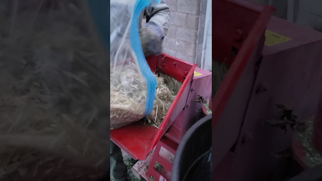 Hemp Pieces 03 - Hammer Mill - YouTube