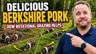 What is rotational grazing, and why we use it!
