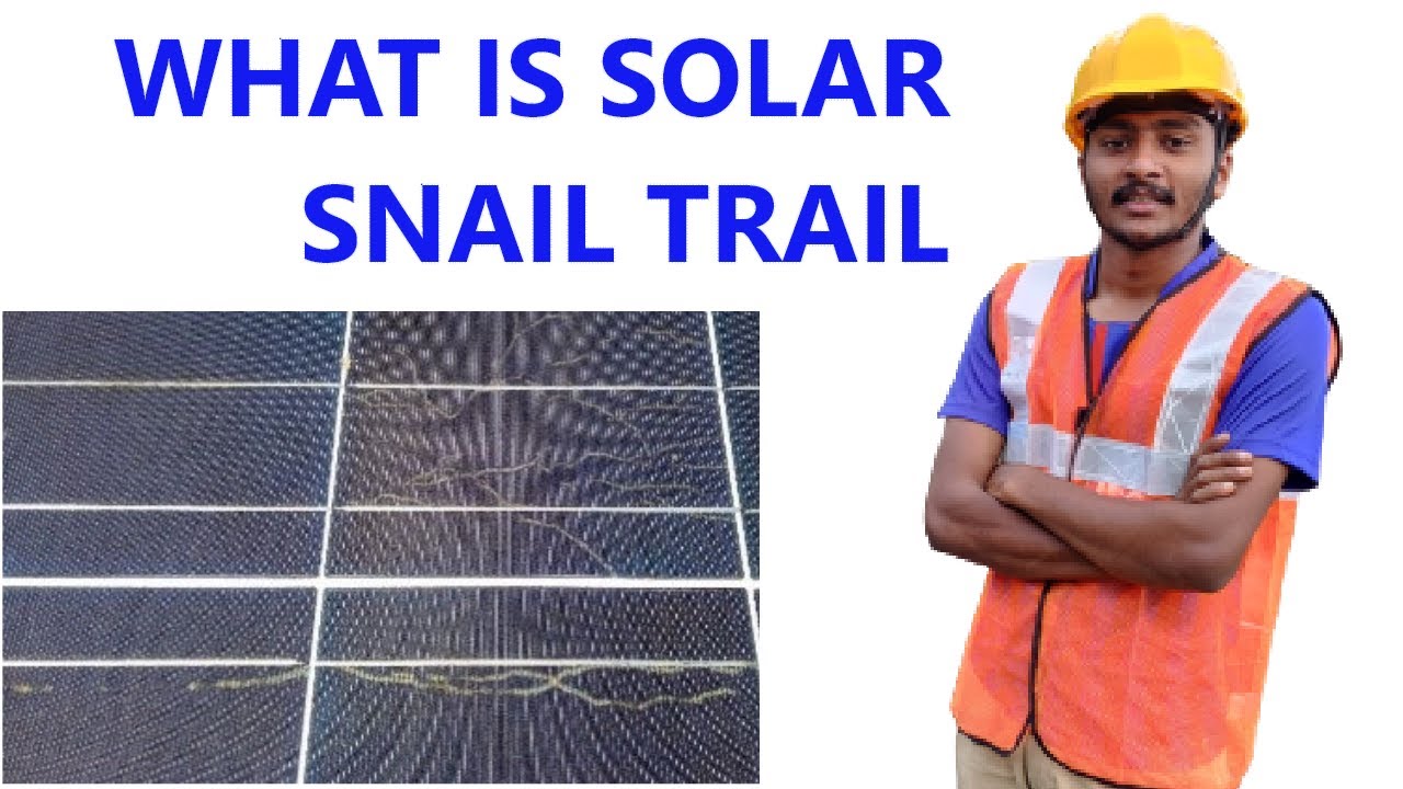 WHAT IS SOLAR SNAIL TRAIL - YouTube