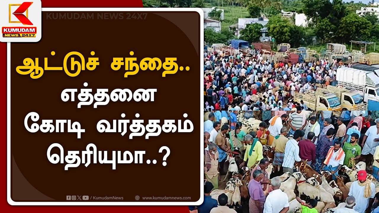Goat Sales in Ayyalur : ஆட்டுச் சந்தை.. எத்தனை கோடி வர்த்தகம் தெரியுமா ...