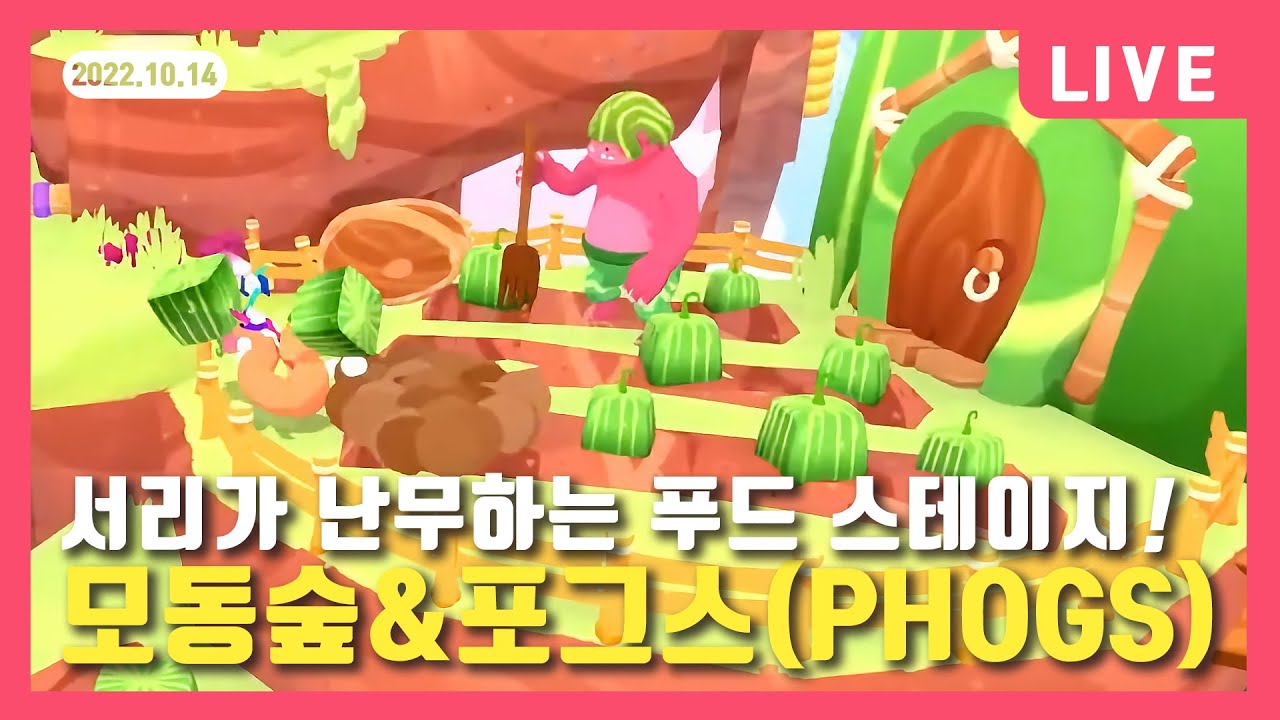 II 실시간 II 모동숲(유럽섬 인테리어) + 포그스(Phogs 5일차!) - YouTube
