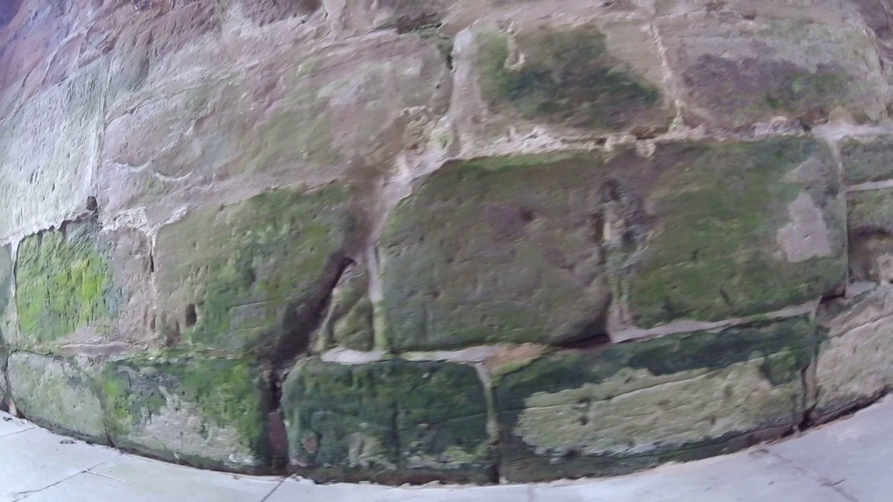 Ancient Sturgeon Graffiti - Worcester Cathedral Watergate - YouTube