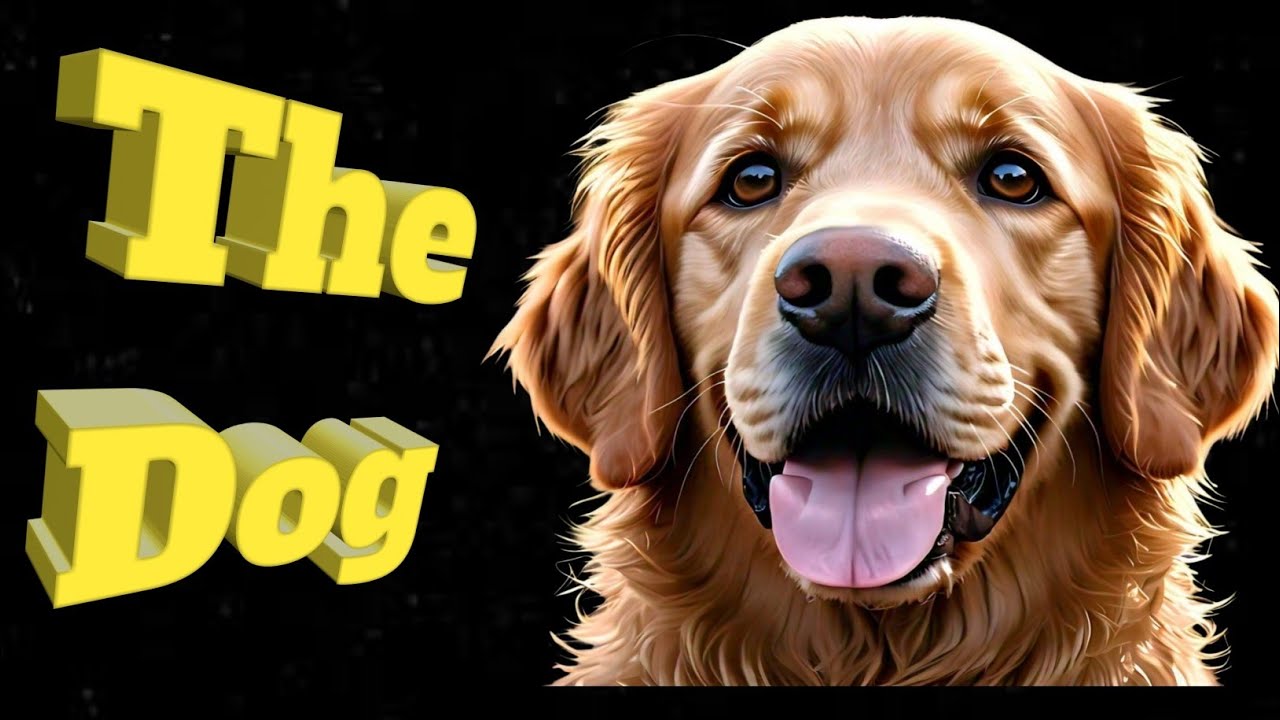 The Dog"(Tail of Fun"The Adventures of Max")😐 - YouTube