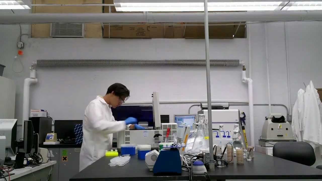 Time Lapse Lab Work - YouTube