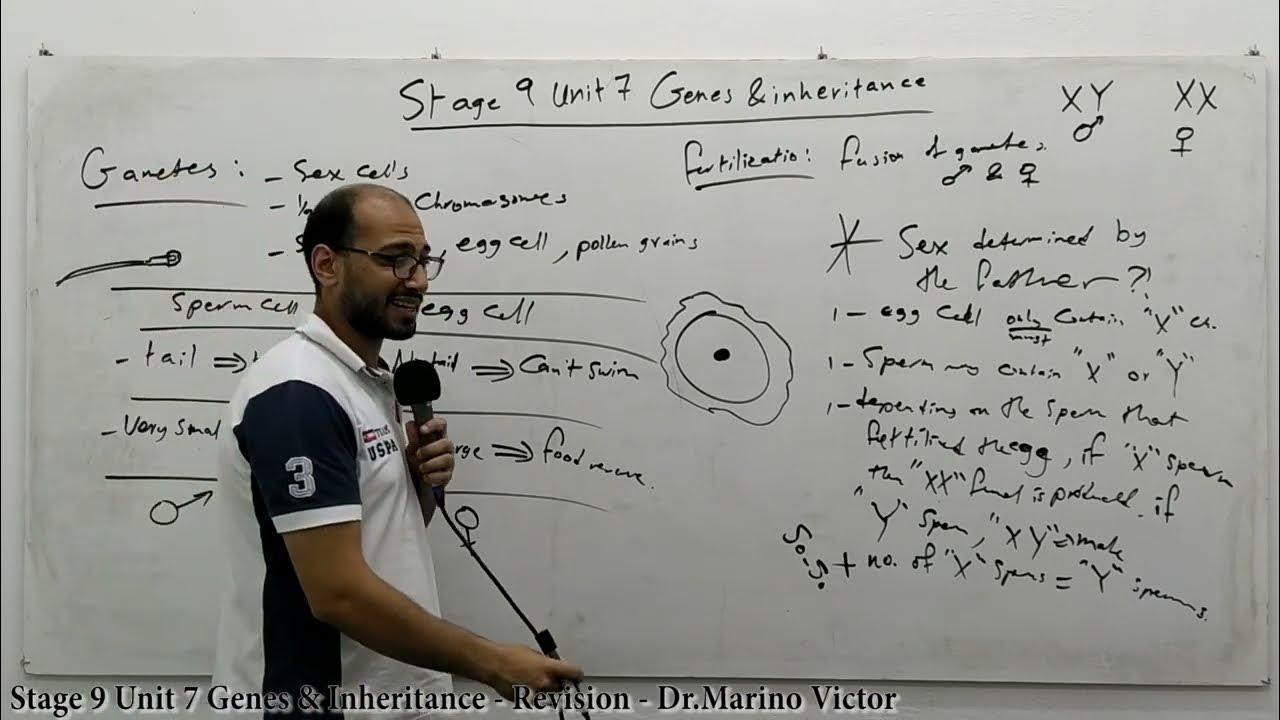 Stage 9 Unit 7 Genes & Inheritance - Revision - Dr.Marino - Biology IGCSE - YouTube