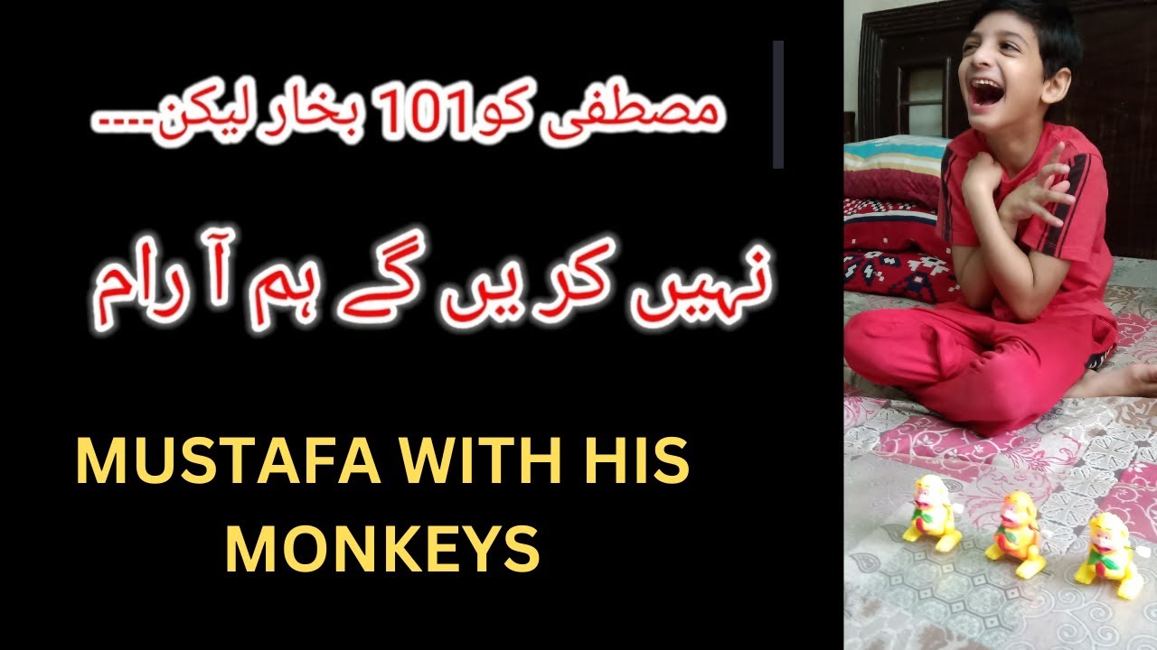 Life with a CP( cerebral Palsy) child, Mustafa playing with monkeys ...