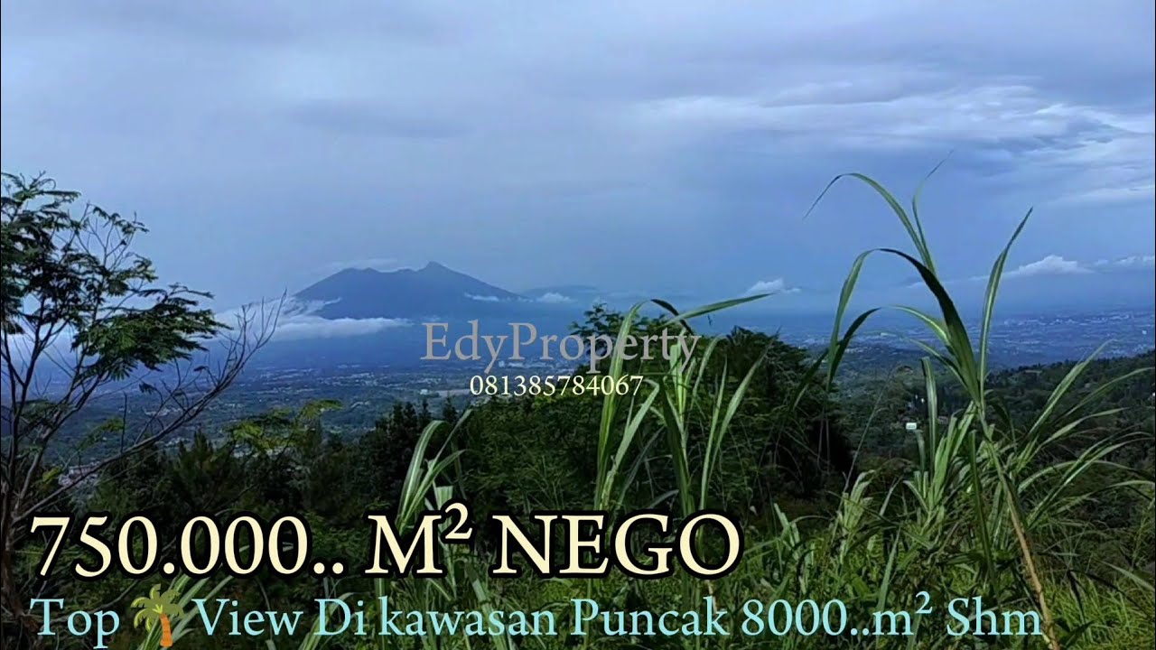 DI JUAL TANAH TOP VIEW MEGA MENDUNG BOGOR SHM 8000 m² 750.000 M² NEGO ...