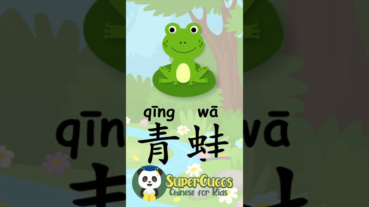 学中文- 青蛙 | Learn Chinese - FROG | Aprender Chino - RANA #Shorts - YouTube