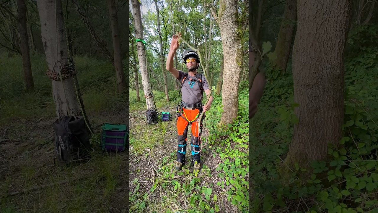 The Fishing Pole Effect in Tree Work and Rigging #rigging #arborist #treework - YouTube
