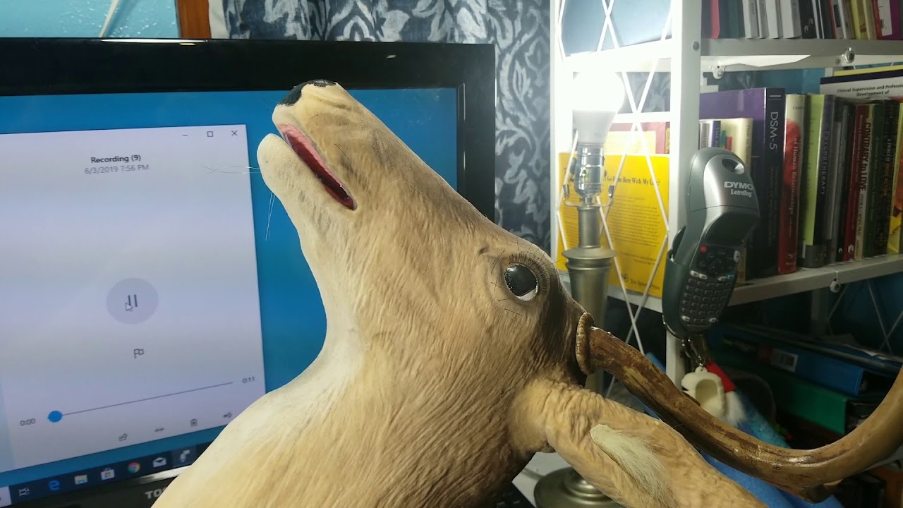 Buck the Singing Deer Ebay Test Video - YouTube
