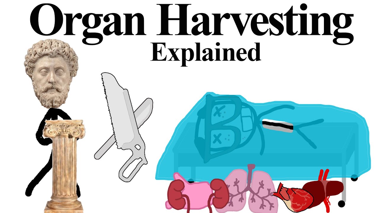 Organ Harvesting Explained - YouTube