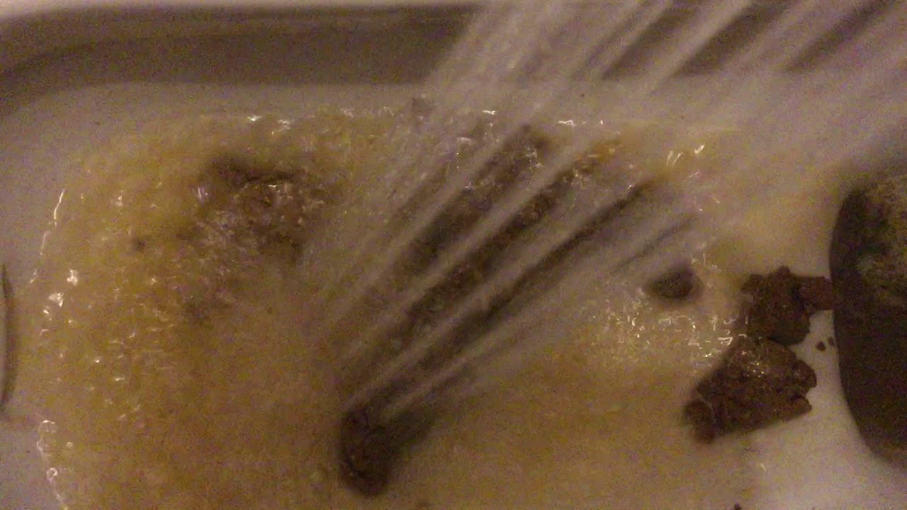 Winter shit cold water cant beat poo 冬のうんこ 2017.12.28 - YouTube