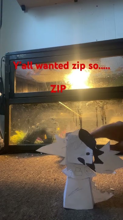 I Made Zip Viral Fypシ Art Papercraft Fpe Zip Misscircle Youtube