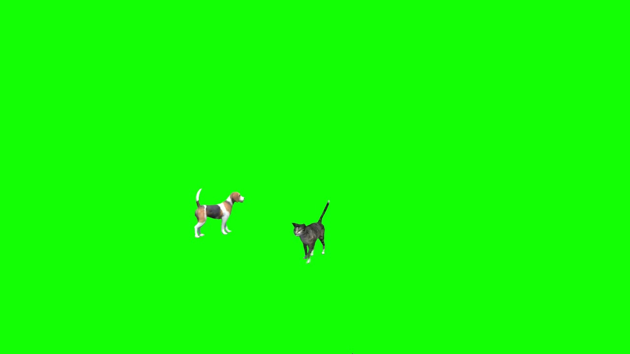 Top Free Green Screen Animated Dog and Cat Playing - YouTube