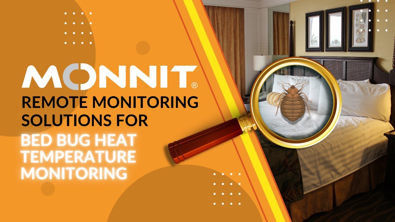 Remote Monitoring Solutions for Bed Bug Heat Temperature Monitoring ...