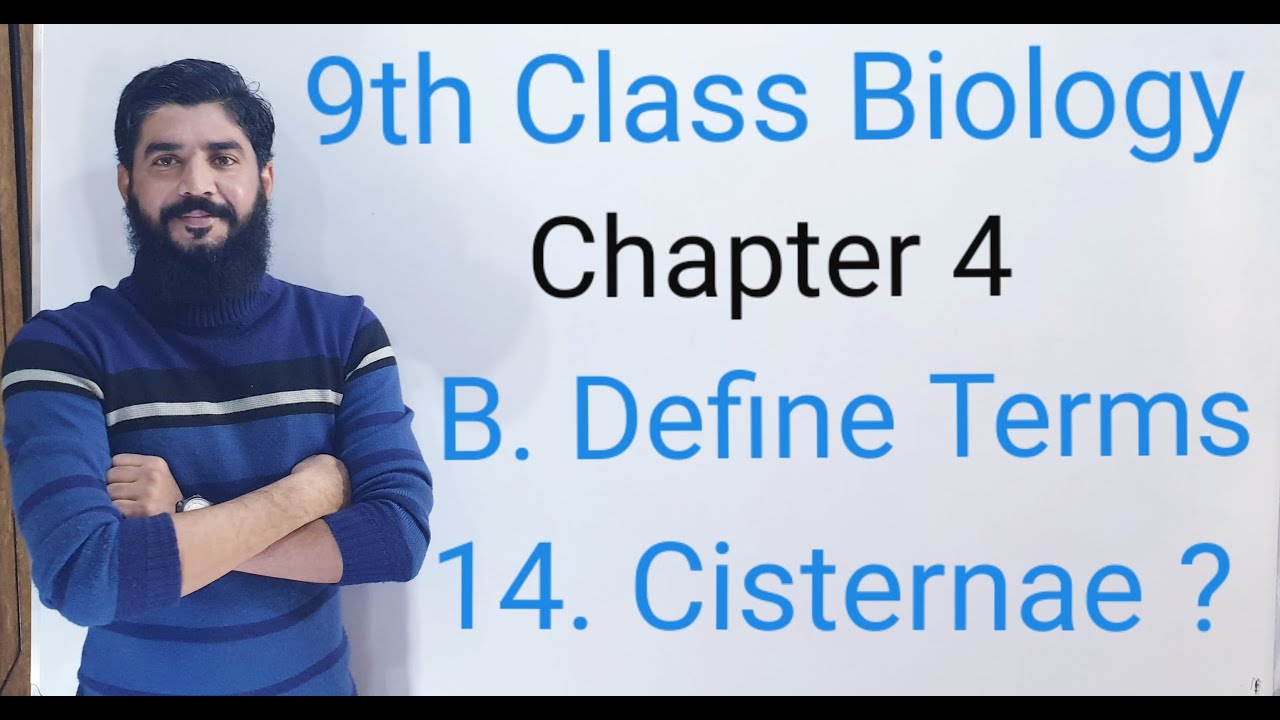 What is Cisternae | Define Cisternae | meaning of Cisternae | Cisternae ...