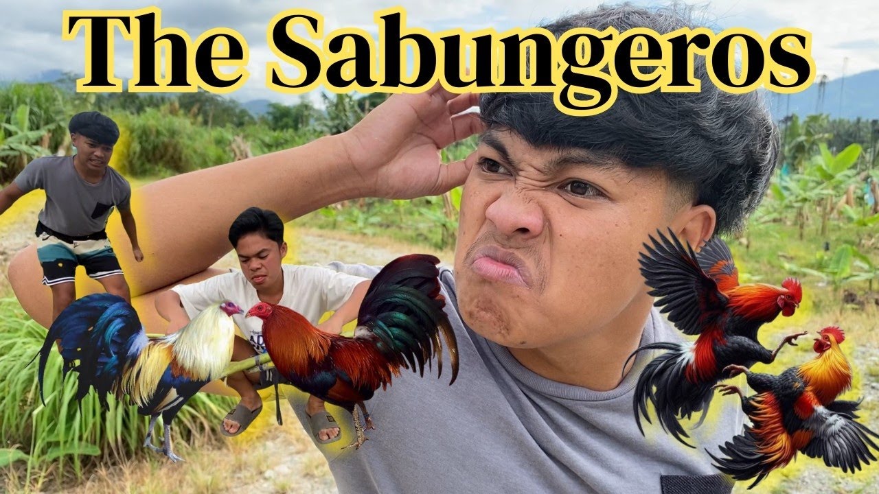 The Sabungeros " Jeprox and Alyas Totoy " - YouTube