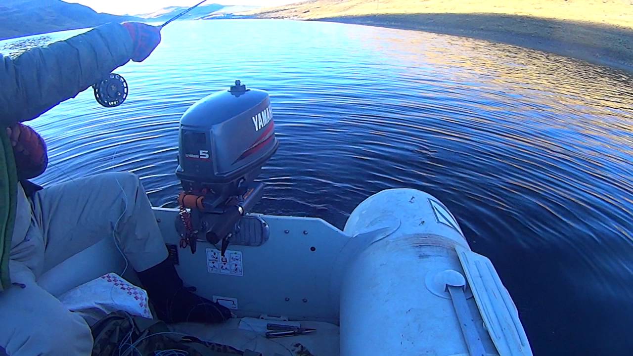 Truchas en la puna de Peru fly fishing Peru - YouTube